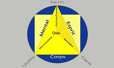 3 concepts en 1 : kinésiologie des émotions - Lionel Gimenez